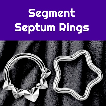 Segment Septum Rings | Many Shapes And Sizes | Shop Today! – Rock ...